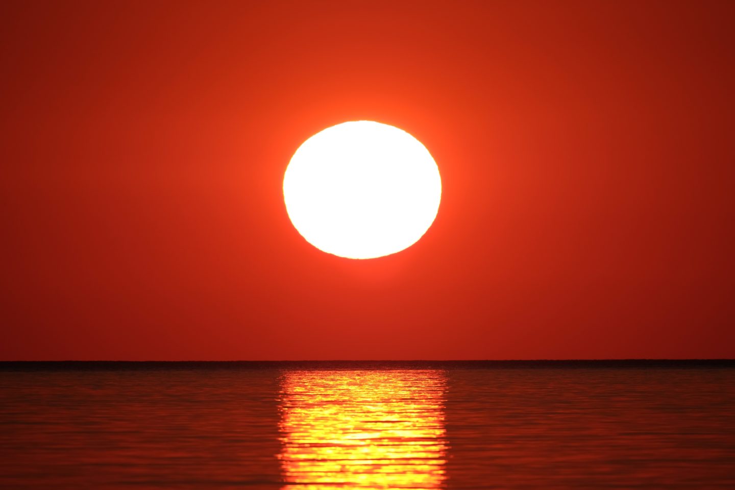 Closest-ever pictures of the Sun taken by NASA and ESA