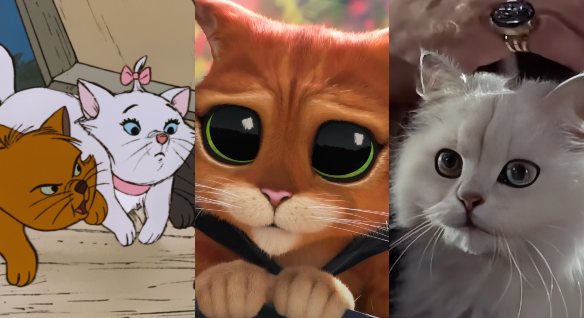 9 of the most iconic cats in Hollywood history