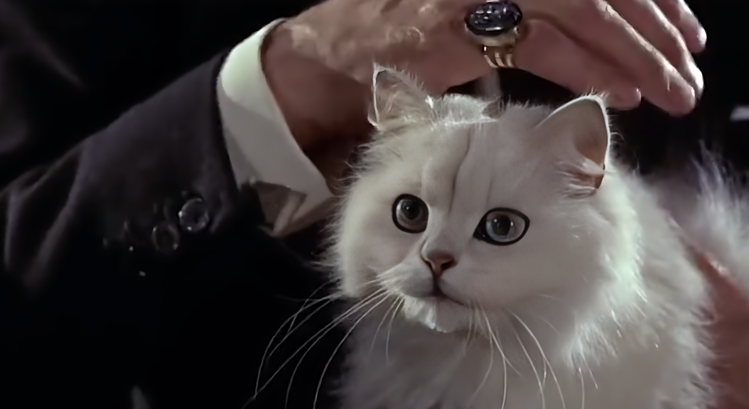 9 of the most iconic cats in Hollywood history