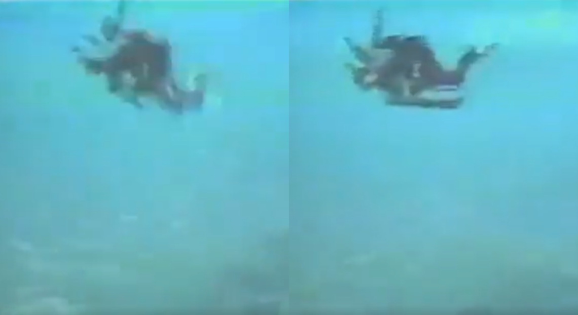 Skydiver Ivan McGuire said four heart-breaking words after realizing he ...