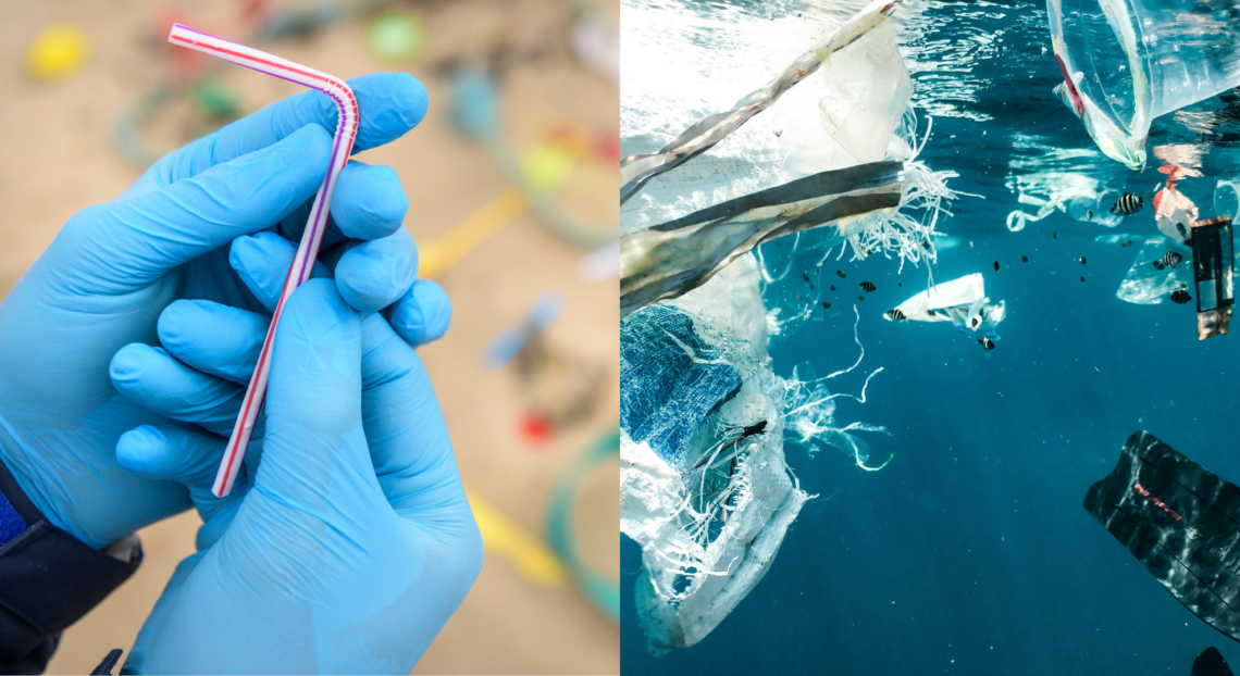 New study reveals how long plastic straws take to degrade in the ocean