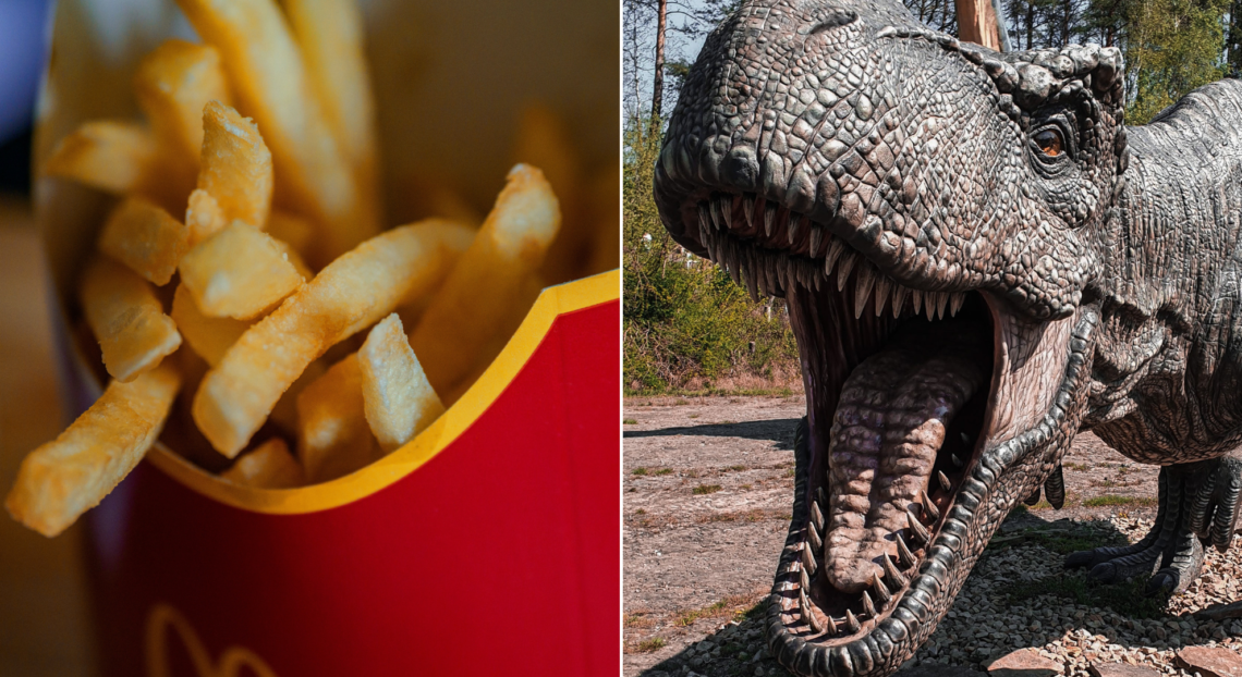 'Dino sized' fries was our favorite McDonalds era, and we want it back