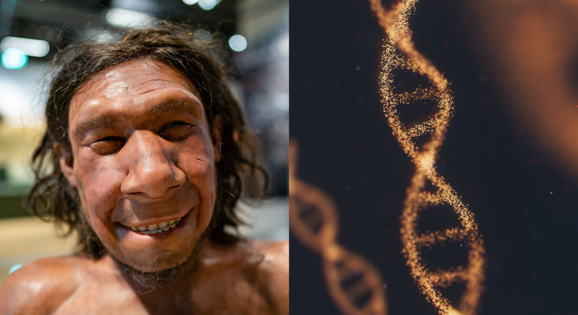 Genetic engineer shares six of your traits that could come from 'Neanderthal DNA'