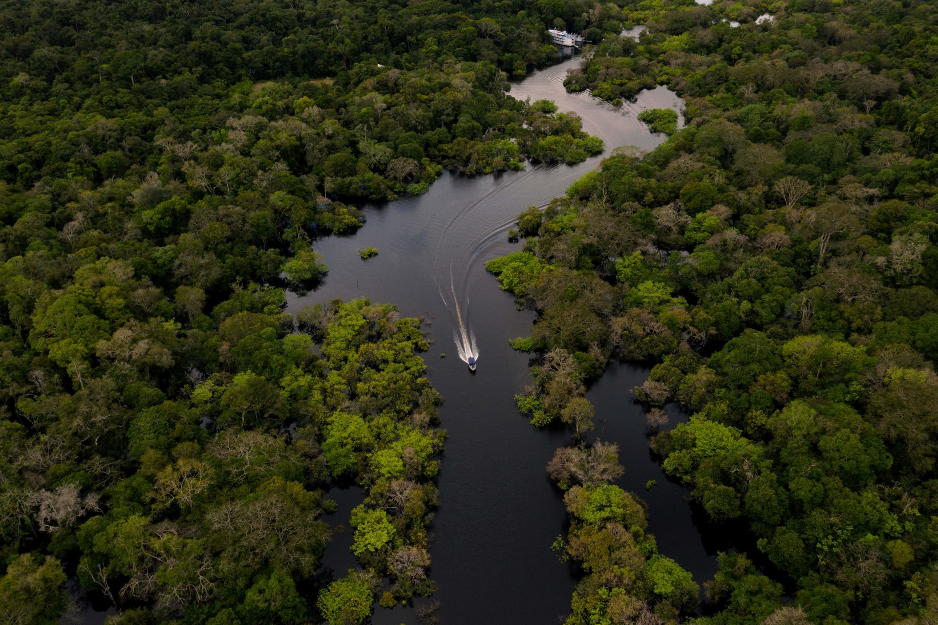 Researchers discover 'sophisticated' hidden city in the Amazon forest ...