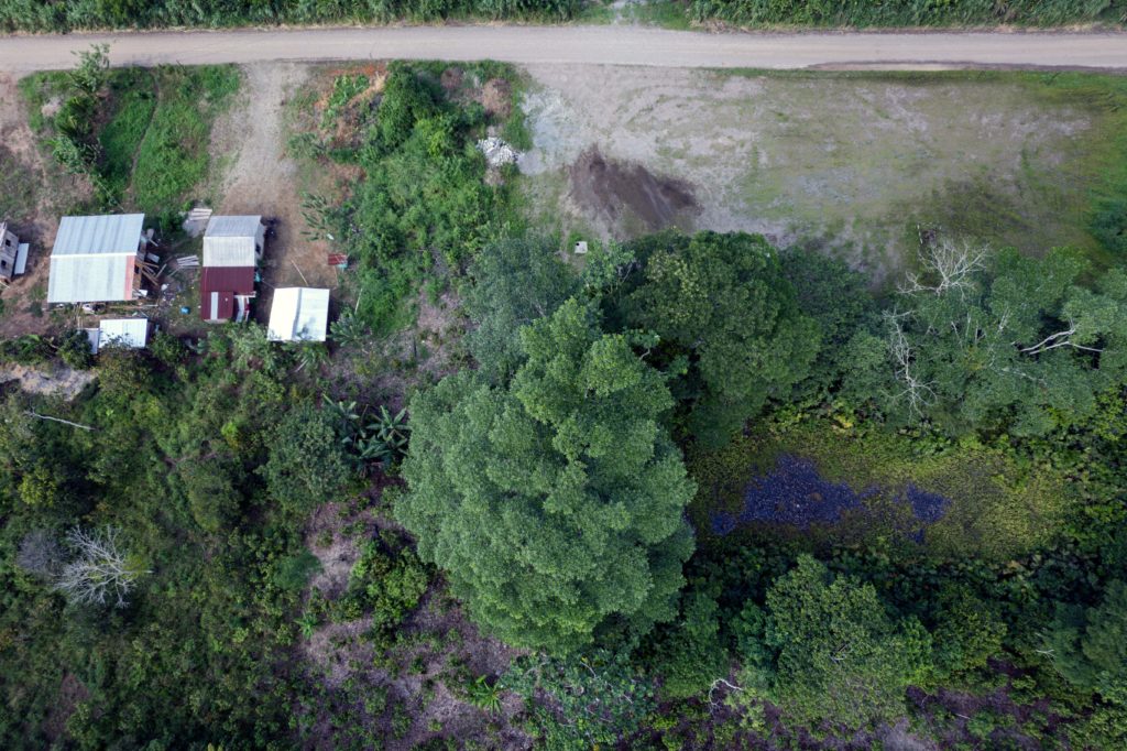 Researchers discover 'sophisticated' hidden city in the Amazon forest ...