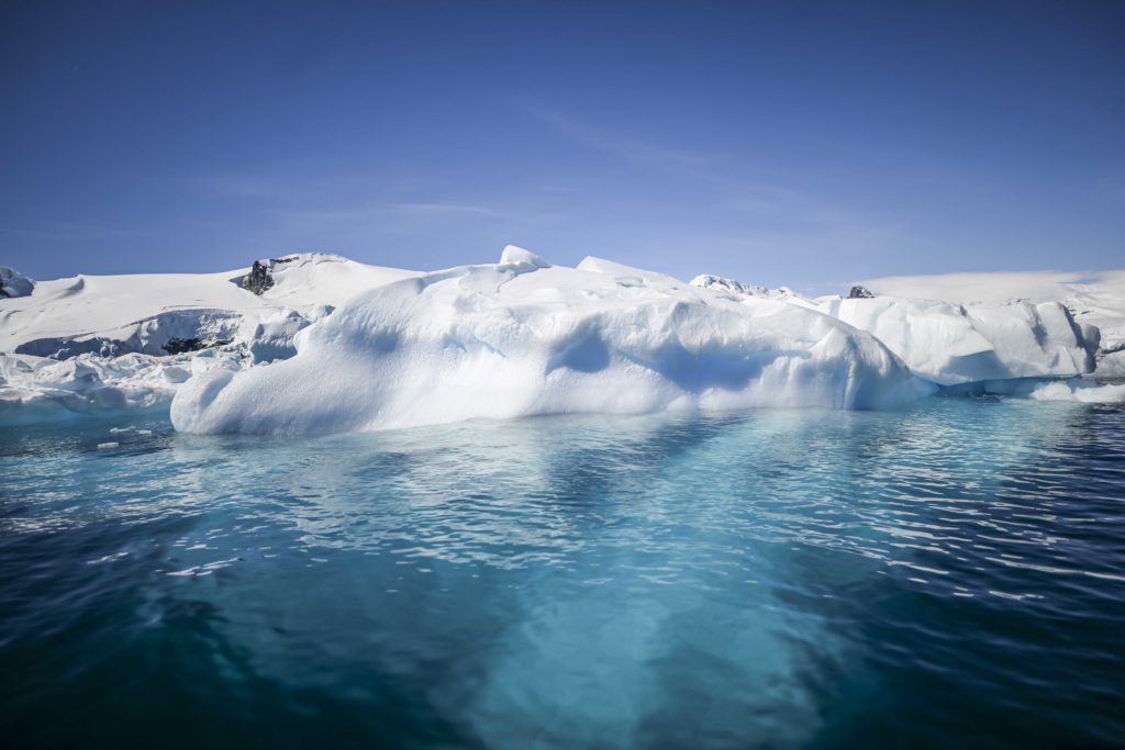 What does 'flowers are blooming in Antarctica' mean, and why is it bad?
