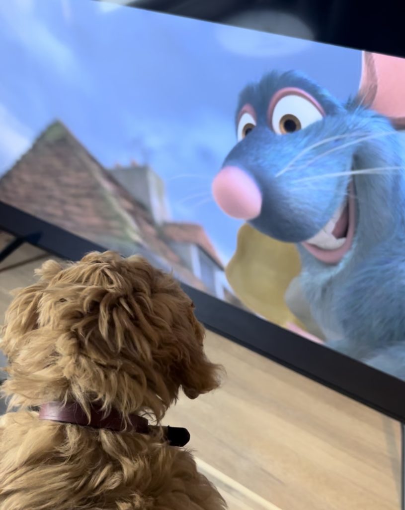 21 unique pet names for your dog, based on Disney characters