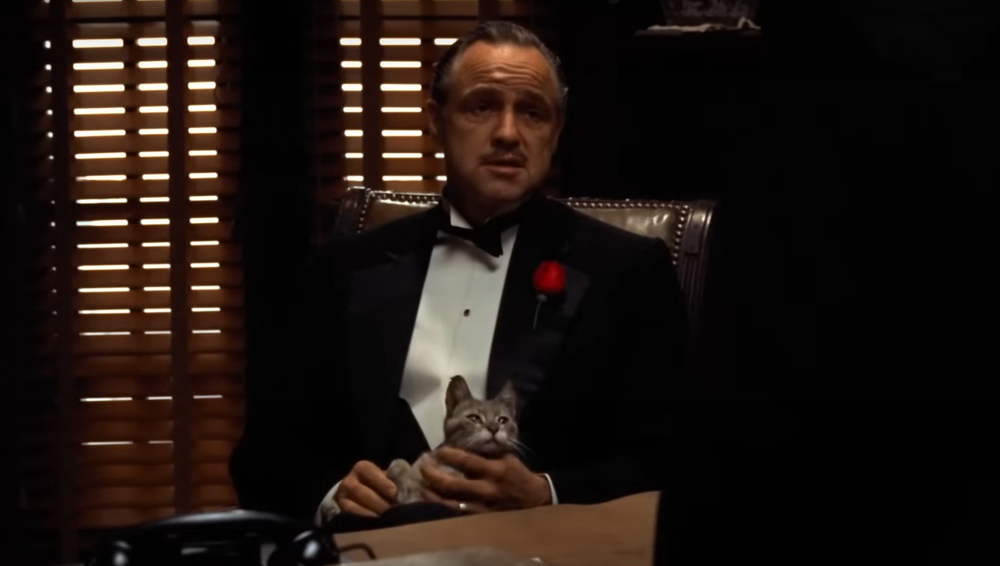 9 of the most iconic cats in Hollywood history