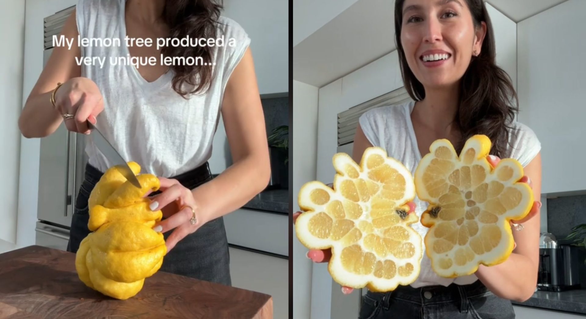 Amateur gardener grows insanely big lemon, leaving TikTok 'freaked-out'