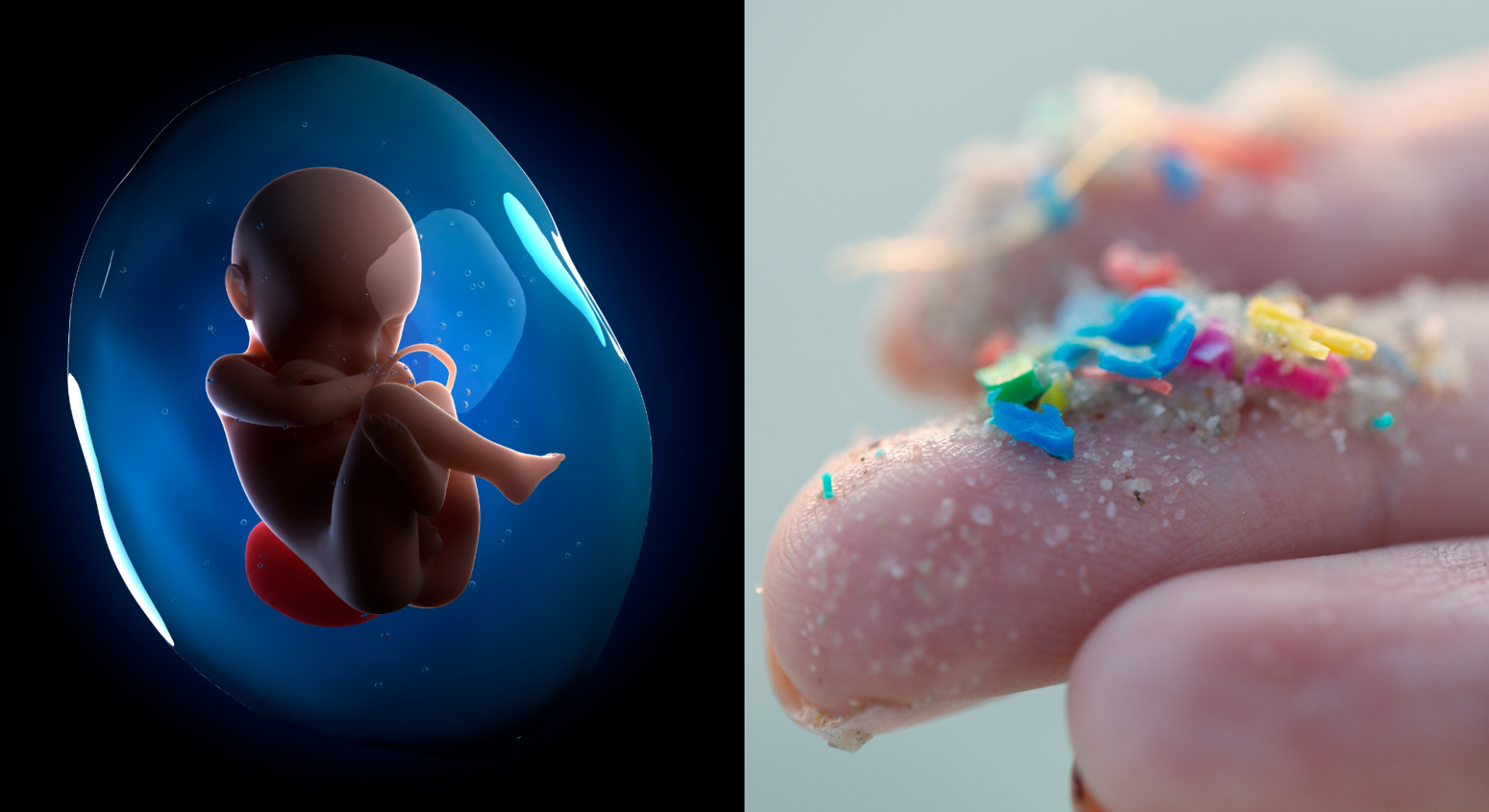 Microplastics found in every human placenta tested in new study