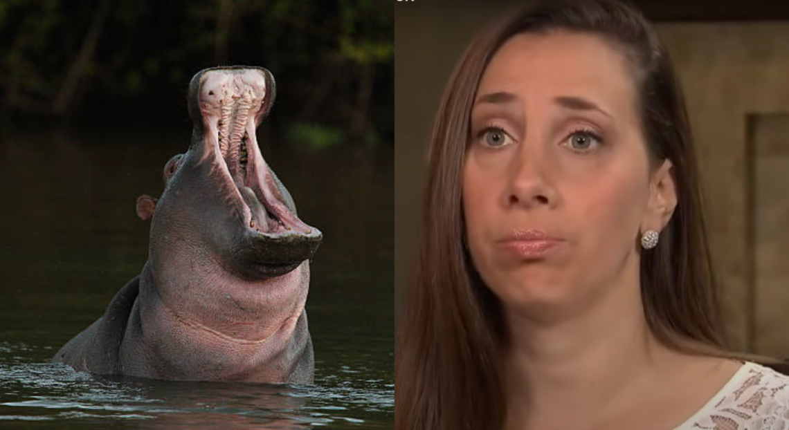 Hippo attack survivor was smiling on camera moments before animal ...