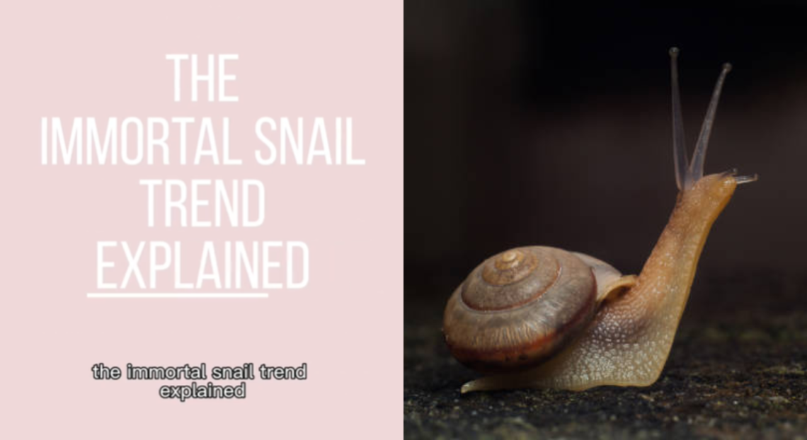 How I stopped TikTok's Snail Theory affecting me when friendship wasn't ...