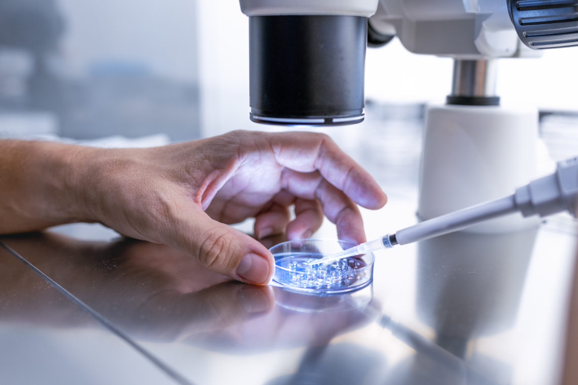 Microplastics found in every human placenta tested in new study