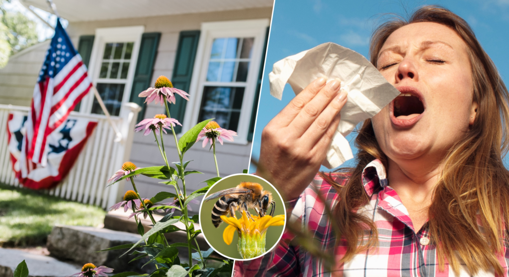 How to pollen-proof your home as hayfever season arrives