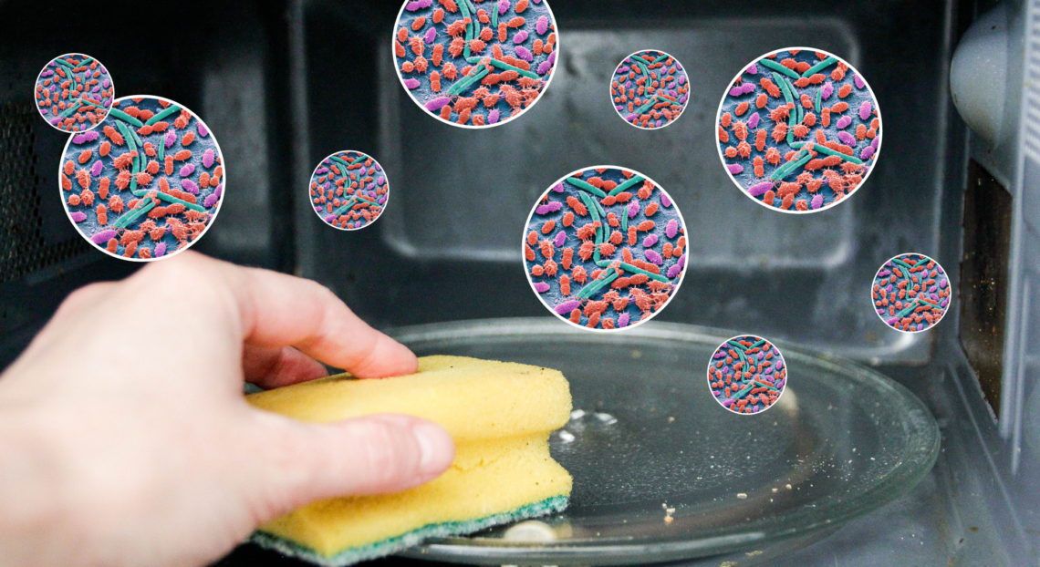 Three cleaning experts on a how to make your microwave as good as new