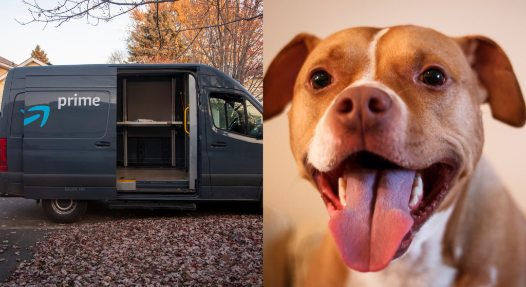 Amazon delivery driver attempted to steal customer's dog from backyard ...