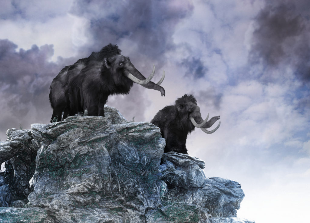 Scientists are one step closer to bringing Woolly Mammoths back to life