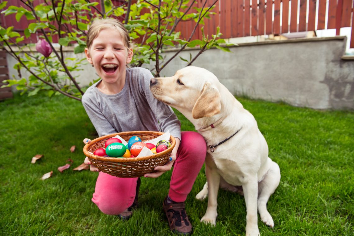 Vet explains how to celebrate a pet-friendly Easter with chocolate ...