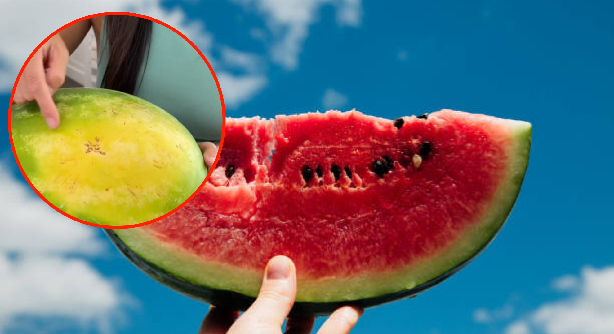 Food scientist's technique to pick the 'sweetest watermelon' is just ...