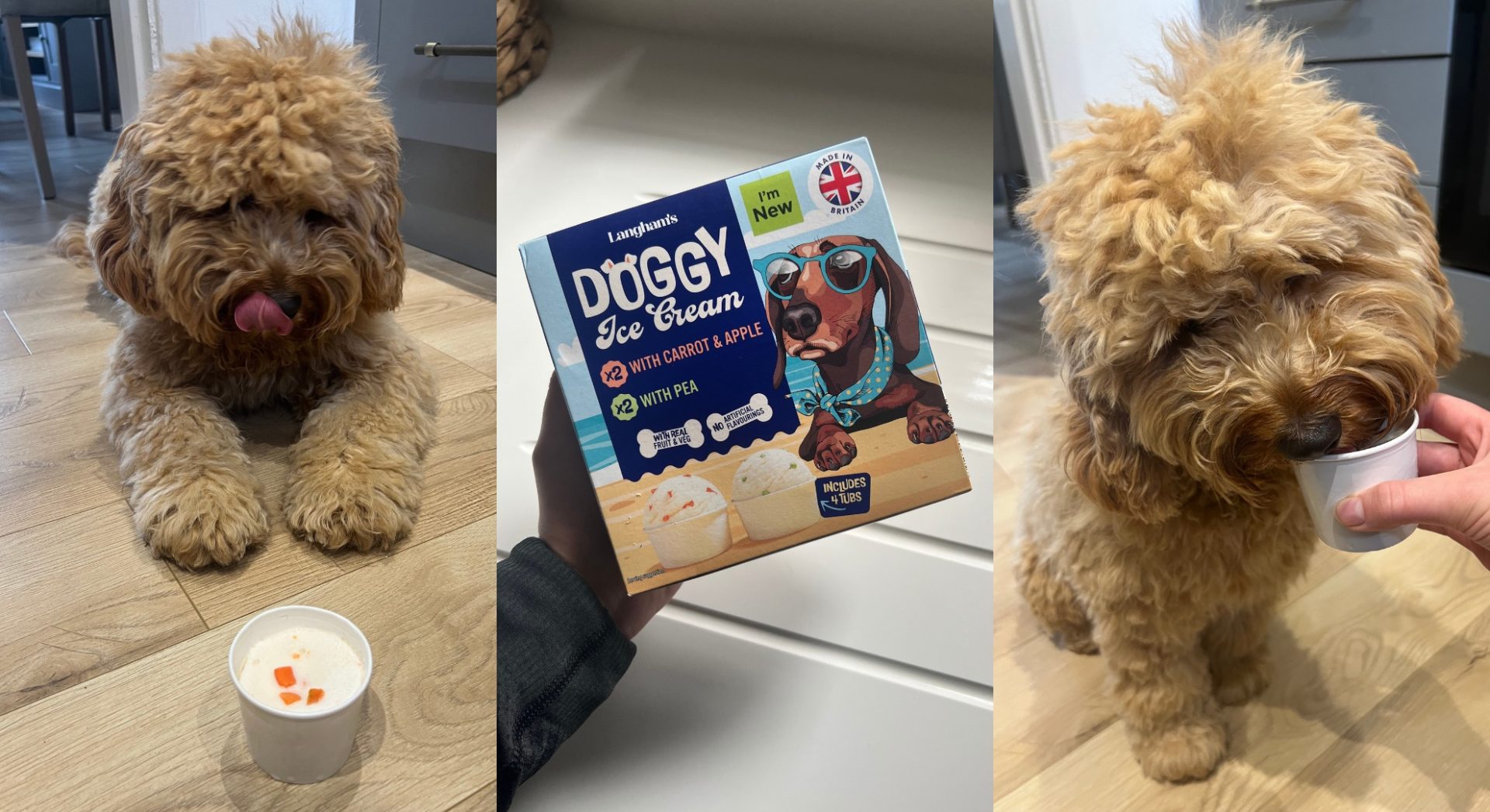 Aldi's Doggy Ice Cream is back, and my pooch gave it the ultimate taste ...