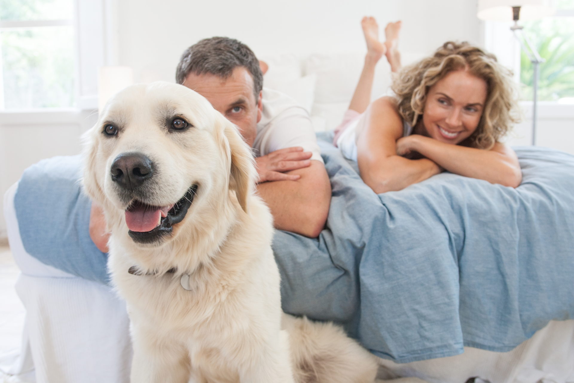 'Golden Retriever' boyfriends crave a certain type of partner ...