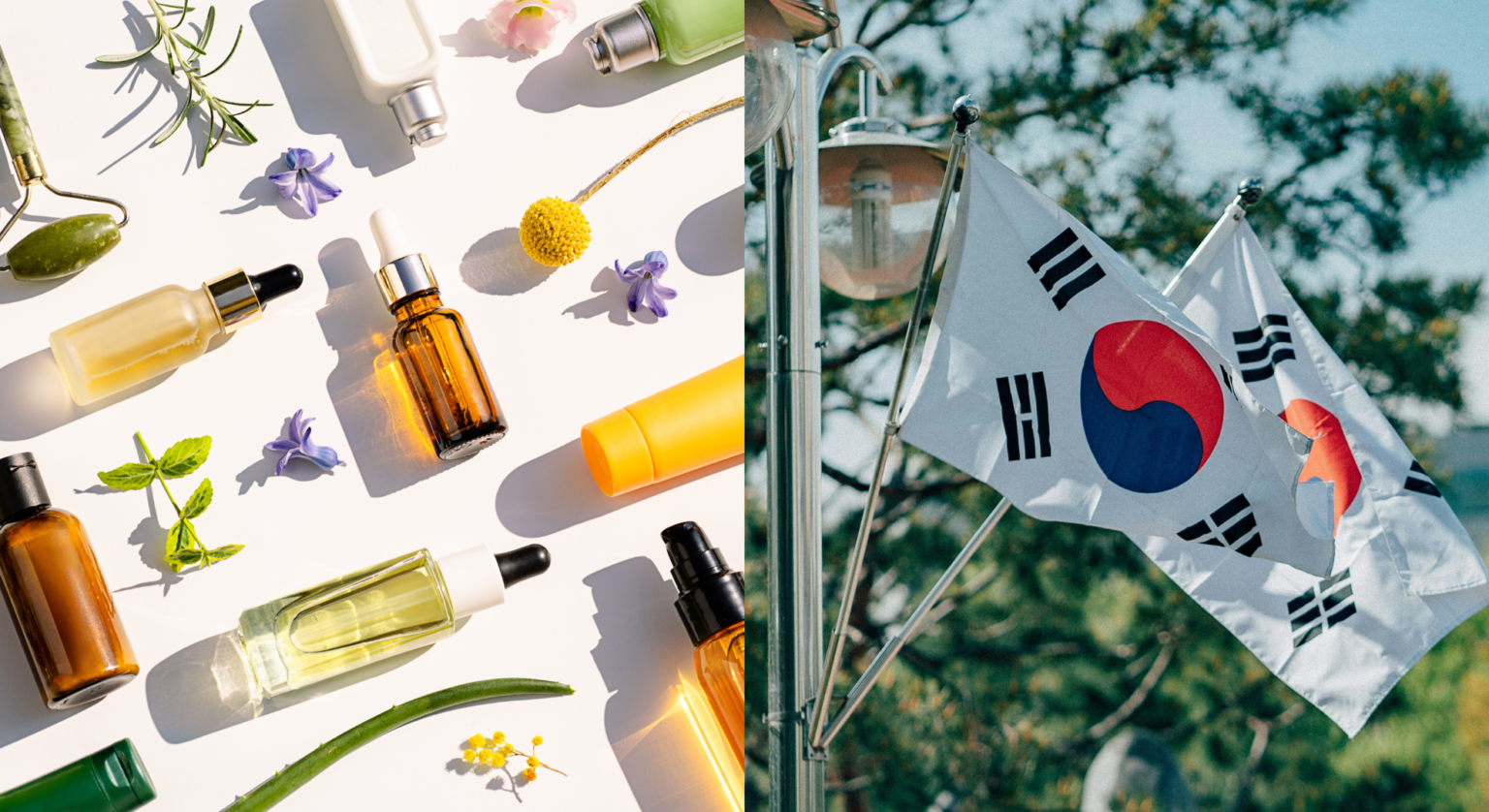 5 reasons the Korean skincare hype hasn't crashed and burned, from a ...
