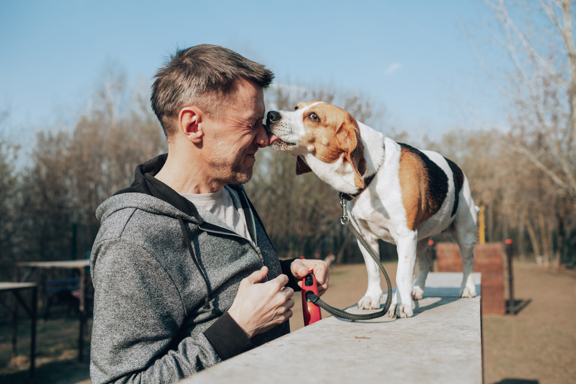 Dogs always choose their owner's scent over anything else, shows study