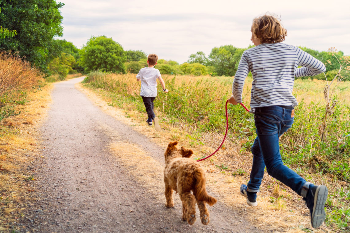 82% of dog owners say walks improve their mental health, study reveals