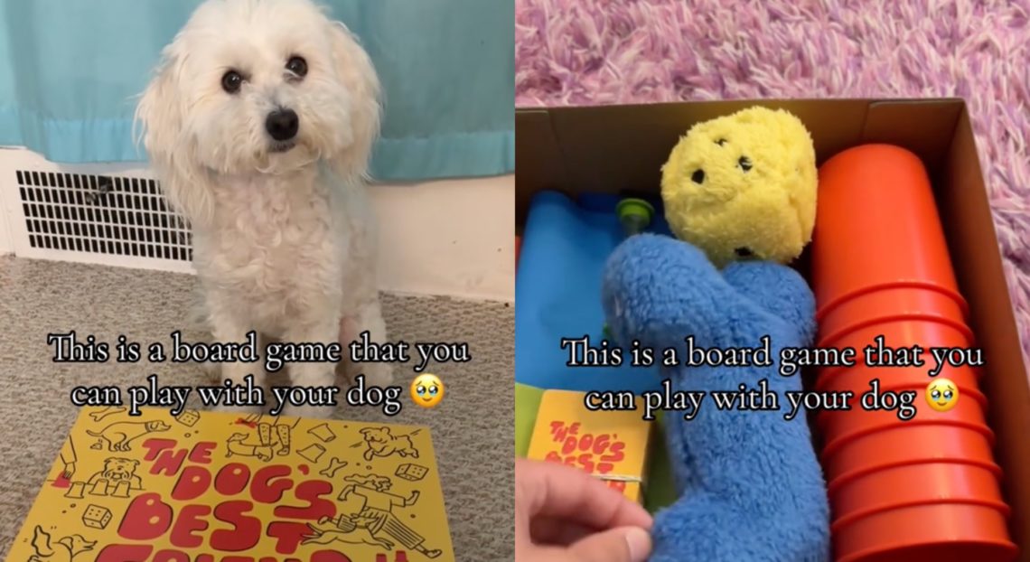 'Adorable' board game lets your dog join in with family games night