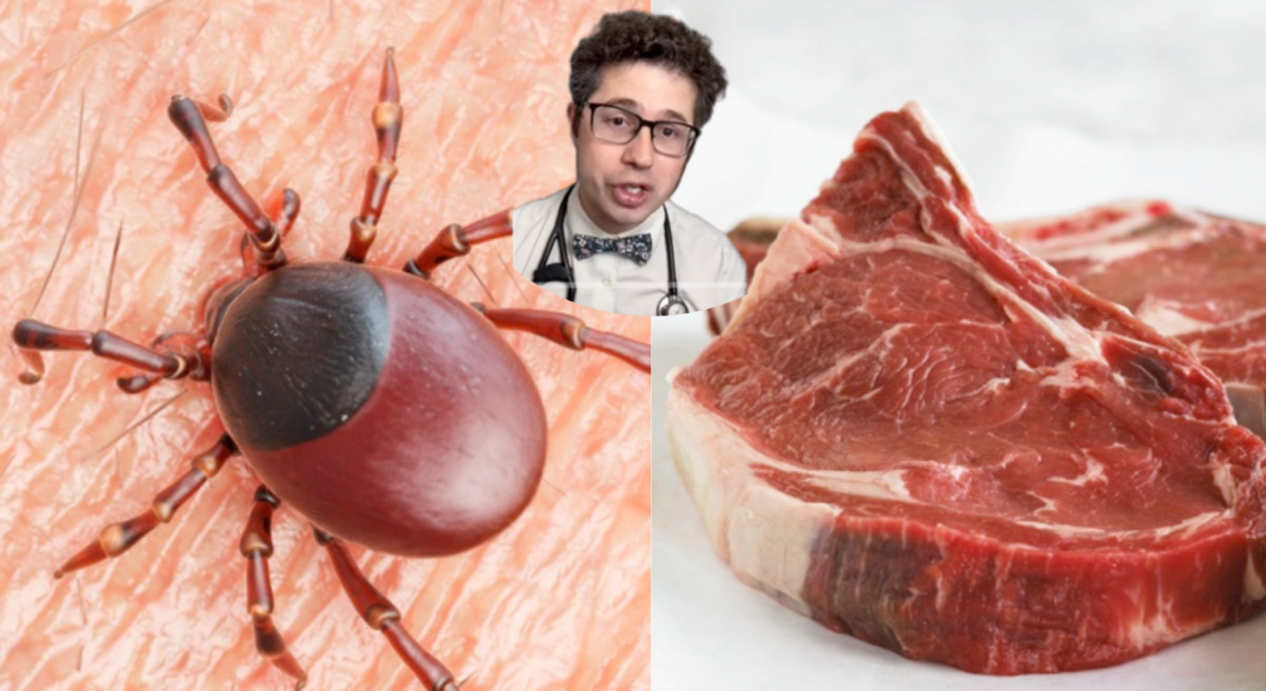 Allergist warns dangerous Lone Star tick is spreading which can make ...