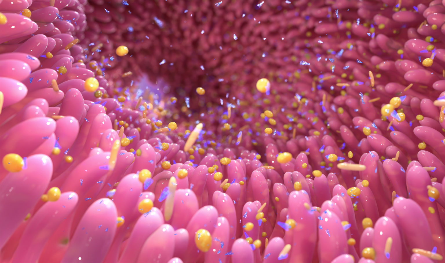 Mother's gut microbiome affects brain development in babies, study says