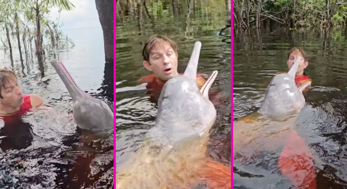 Internet divided as animal expert swims in Amazon Rainforest with ...