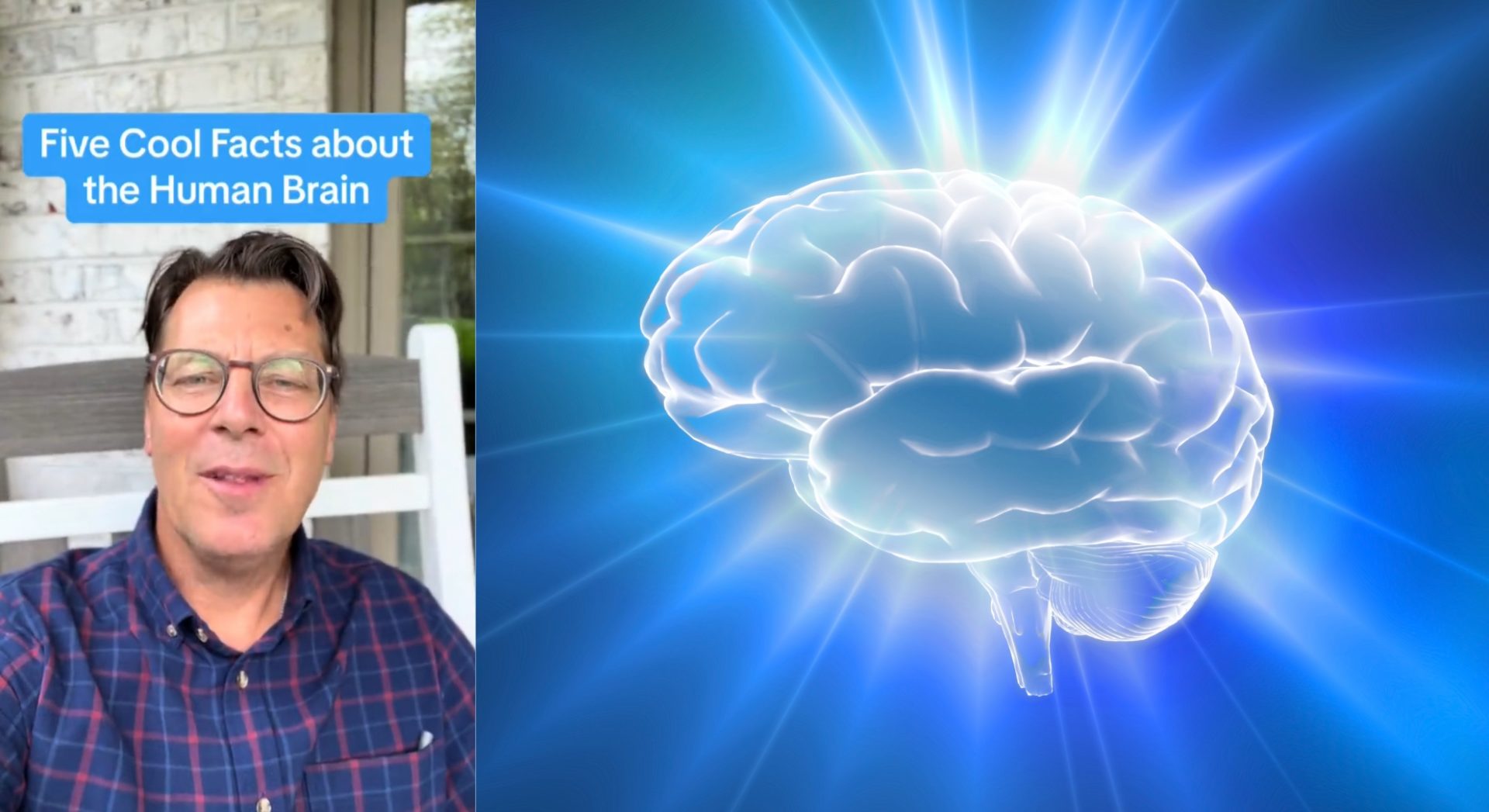 Neurosurgeon shares 5 scary brain facts, from effect of alcohol to what ...