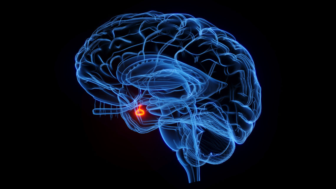 Scientists are hoping to replicate the 'cuddle hormone' for healthy ...