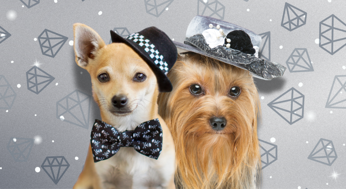 Trainer’s top picks for ‘very demure, very mindful’ dogs as viral ...