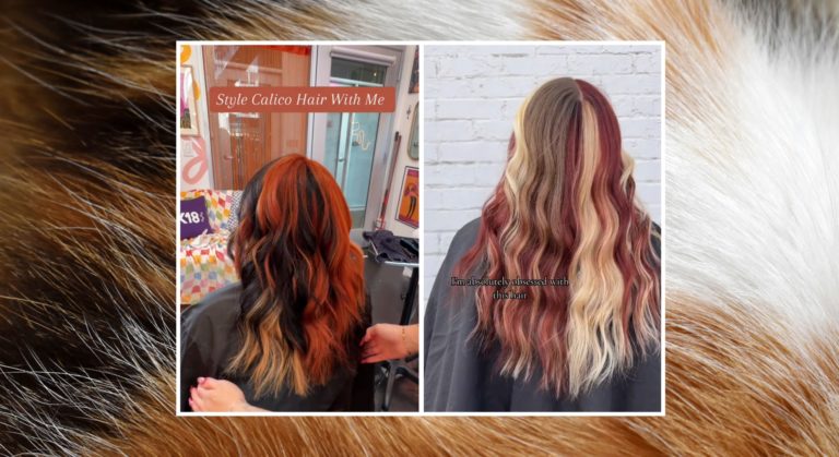 Calico Hair is all over TikTok, and it's inspired by a type of cat