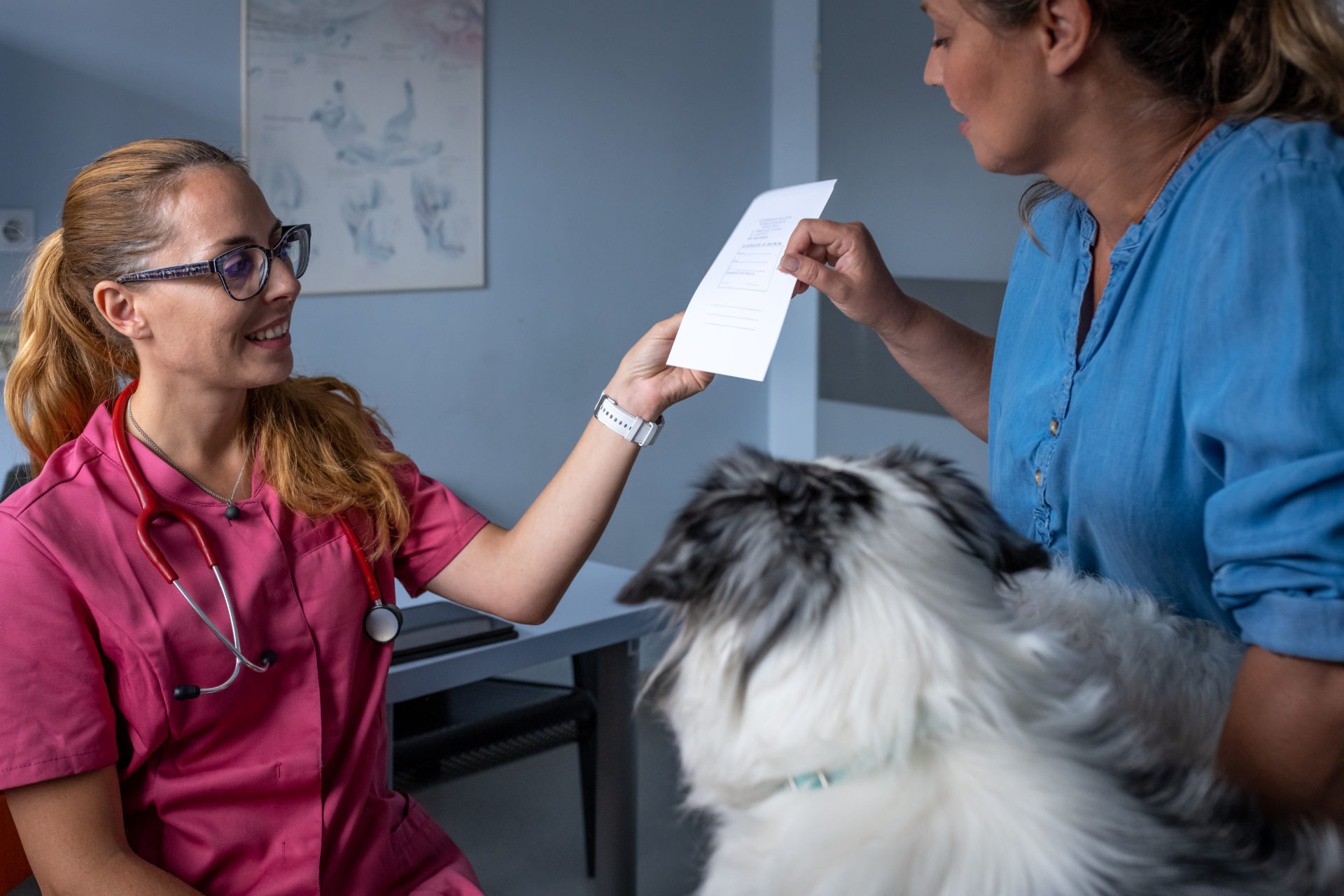 Vet’s advice to pet parents who can’t afford veterinary care – alternate treatments to being upfront