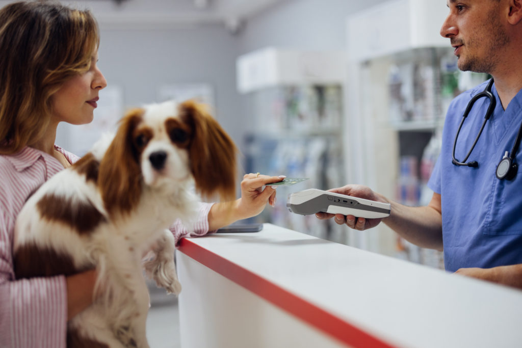 Vet’s advice to pet parents who can’t afford veterinary care – alternate treatments to being upfront