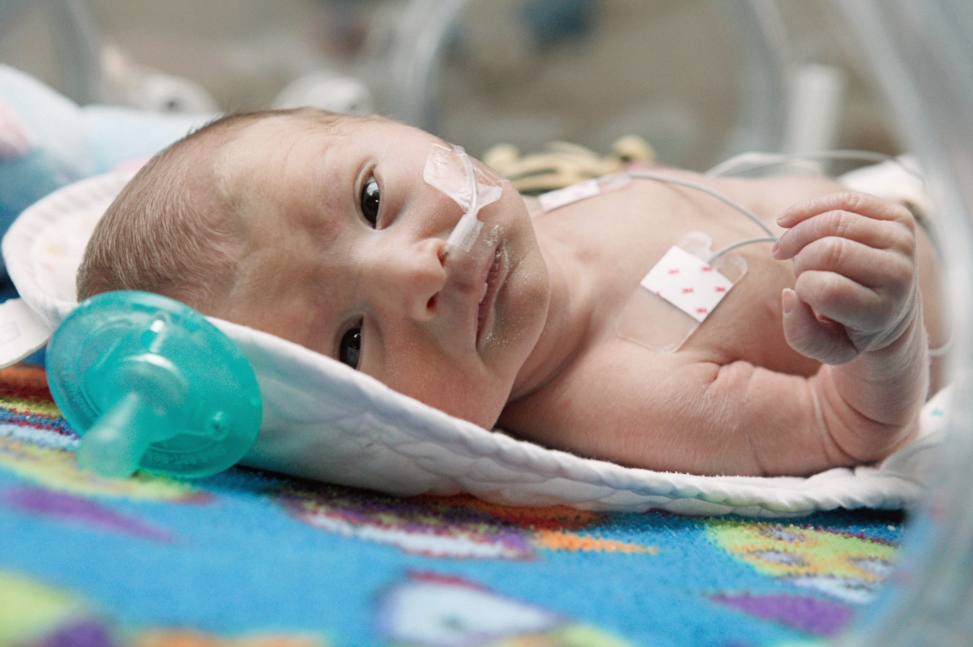 Heart defect is 36% higher in babies born after IVF treatment, study shows