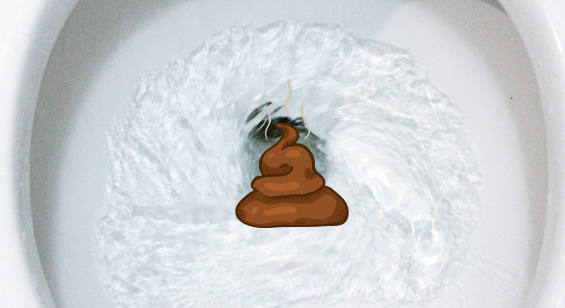 'Ghost poop' is a sign of a perfectly healthy gut, says doctor