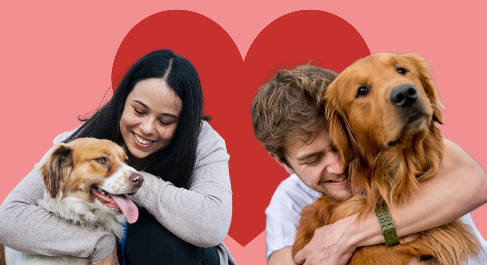 I'm a vet and these are six signs your dog is saying 'I love you'