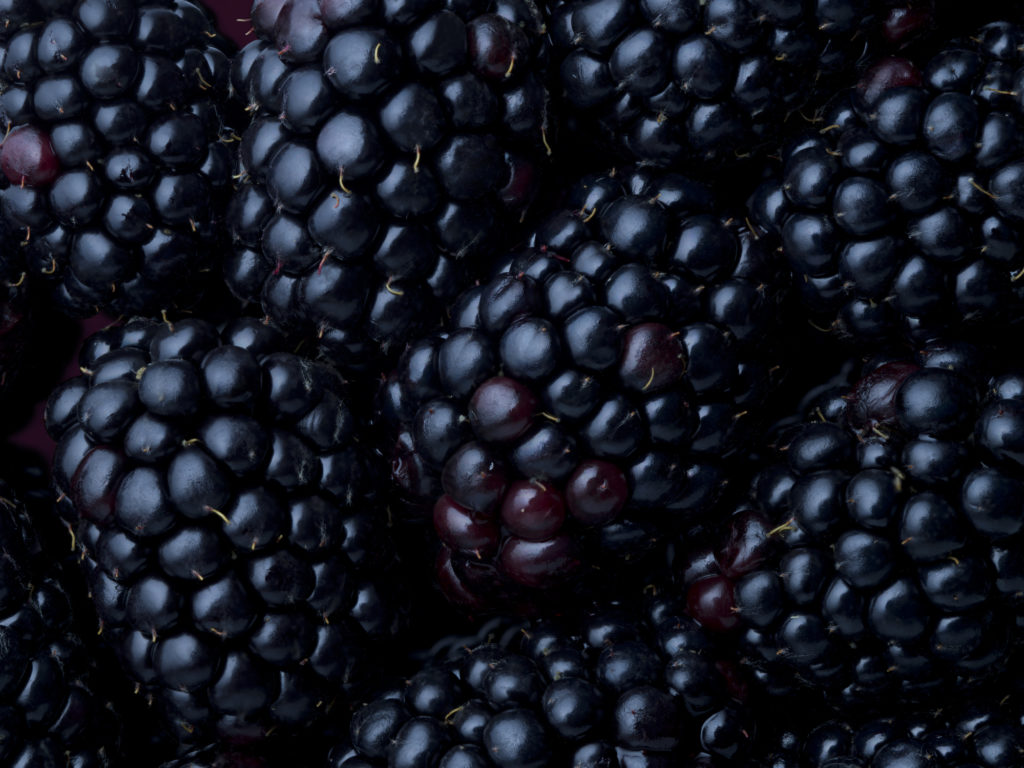 Doctor urges everyone to start eating blackberries for 5 essential ...