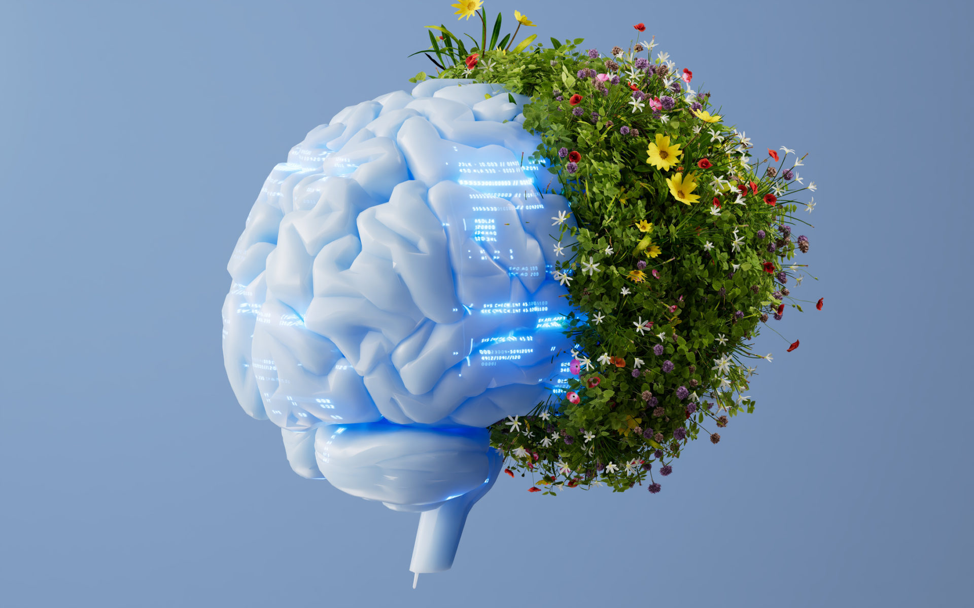 Life coach's 'happy person trick' increases positivity by viewing brain ...